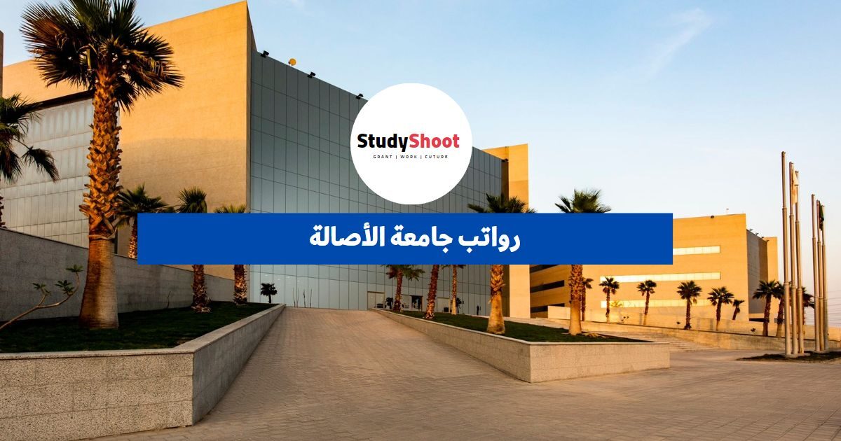 رواتب جامعة الأصالة | دليل شامل 2025