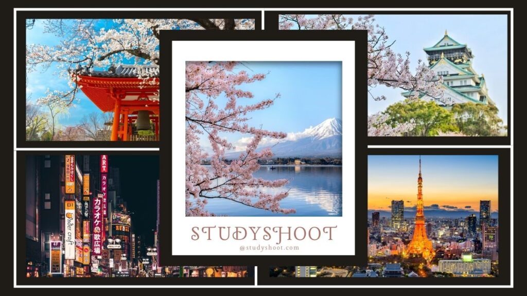 جامعة أوبيهيرو للعلوم الزراعية - Obihiro University